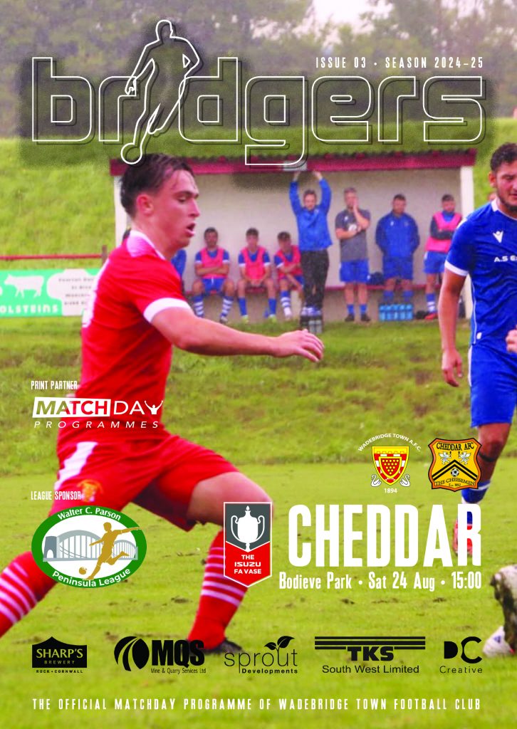 From the Dugout (Cheddar in FA Vase) - Wadebridge Town FC
