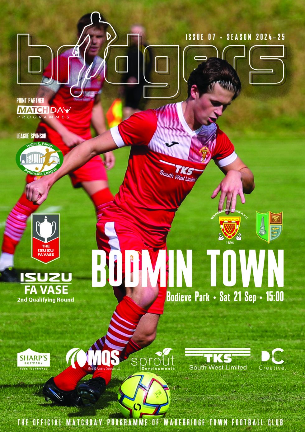 From the Dugout (Bodmin Town in FA Vase) - Wadebridge Town FC