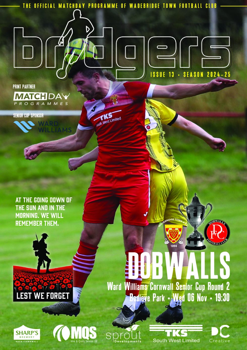 From the Dugout (Dobwalls in Senior Cup) - Wadebridge Town FC